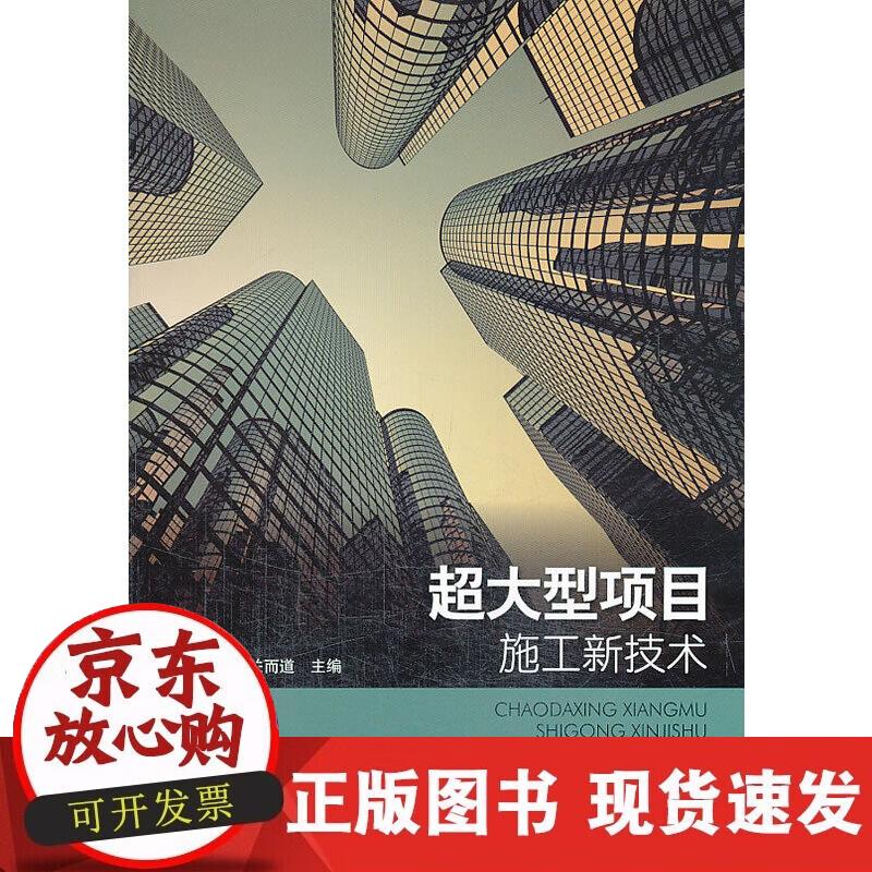 【现货】超大型项目施工新技术