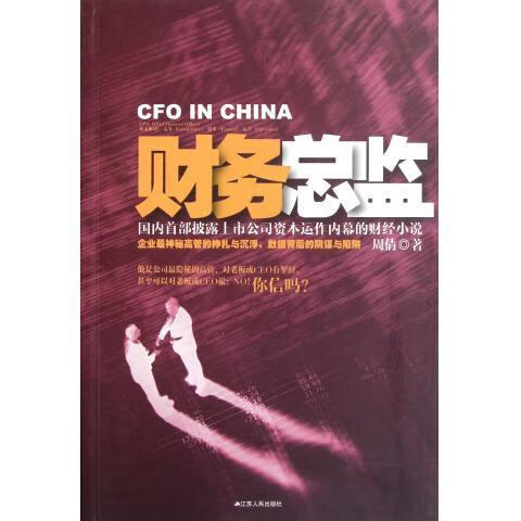 财务总监 周倩 著
