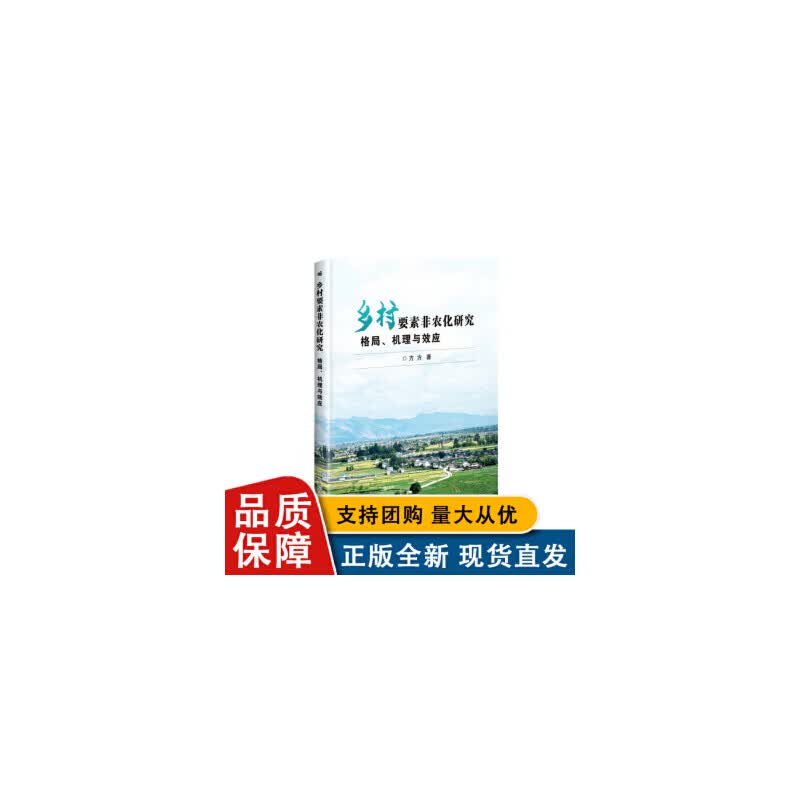 乡村要素非农化研究—格局、机理与效应