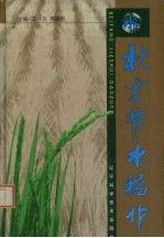 北方节水稻作9787538132090辽宁科学技术出版社