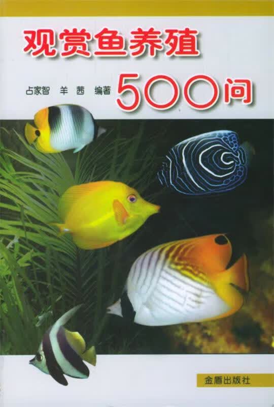观赏鱼养殖500问【好书，下单速发】