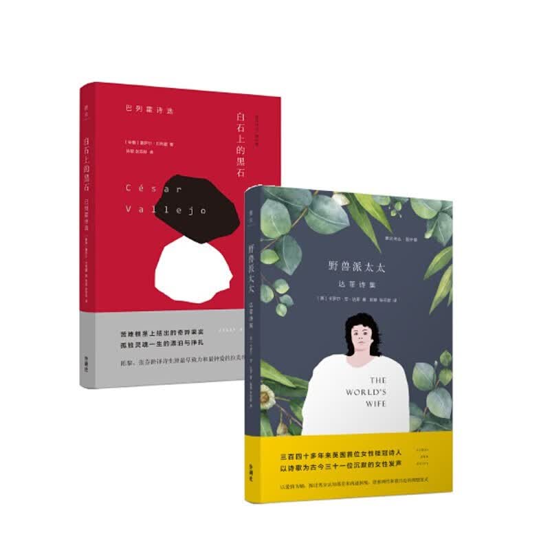白石上的黑石+野兽派太太 套装