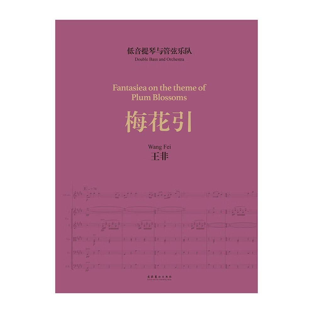 低音提琴与管弦乐队《梅花引》