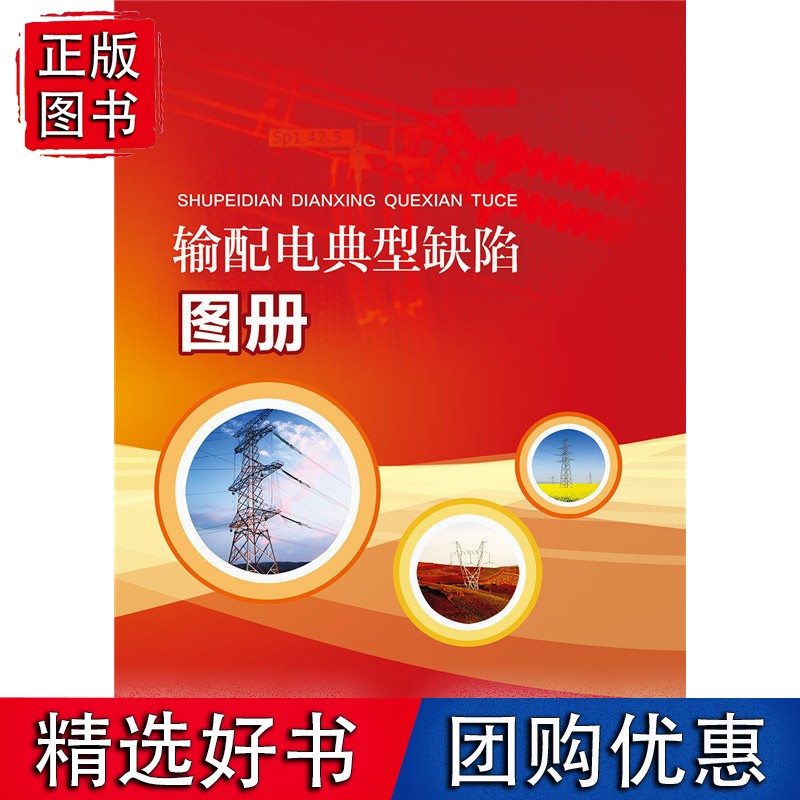 输配电典型缺陷图册
