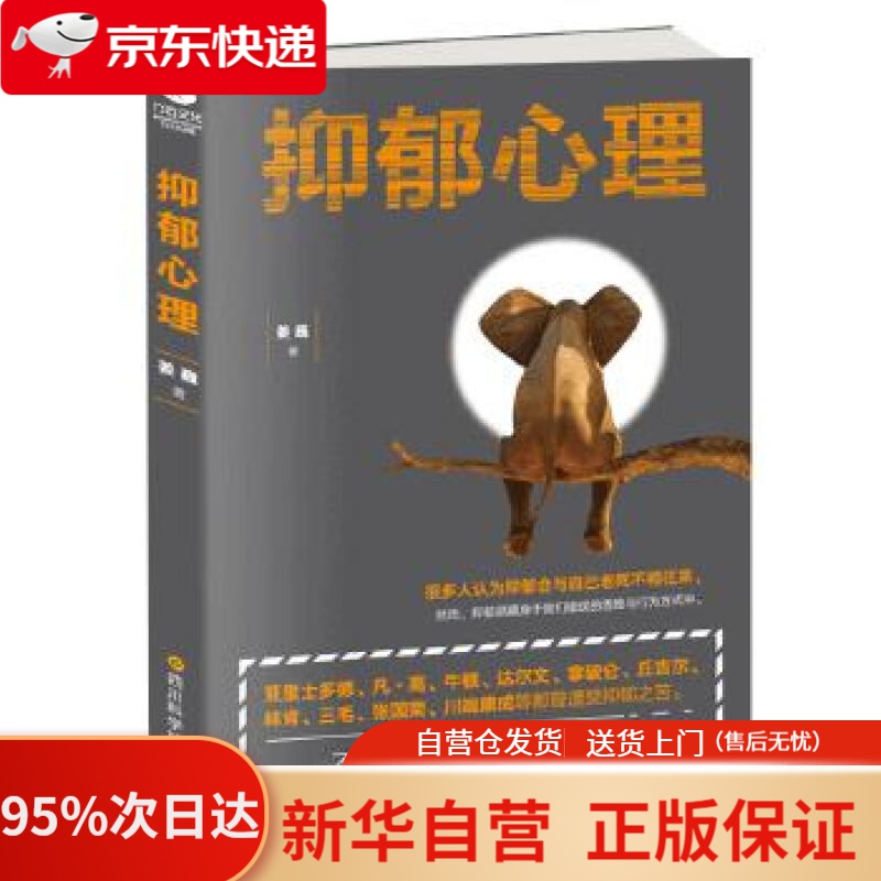 抑郁心理 姜巍 四川科技出版社 9787536492103