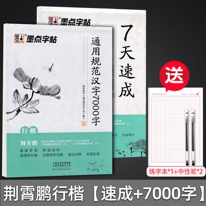 字帖行楷荆霄鹏钢笔练字成年笔画笔顺练习字体漂亮女生硬笔书法初中高中初学者入门套装7天速成大学生男霸气21天墨点临摹练字帖 行楷-【7天速成+7000字】送练字本+中性笔