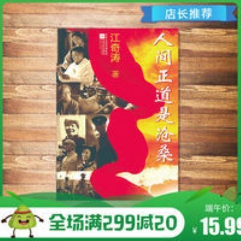 人间正道是沧桑 江奇涛著长篇小说-中国-当代 江苏文艺 人间正道是沧桑 江奇涛著长篇 奇涛著长篇