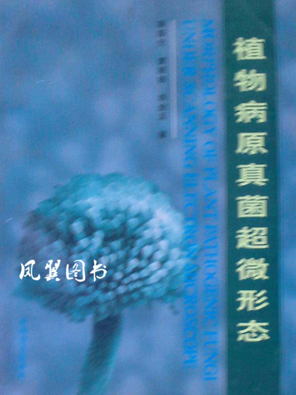 植物病原真菌超微形态 康振生等著 中国农业出版社