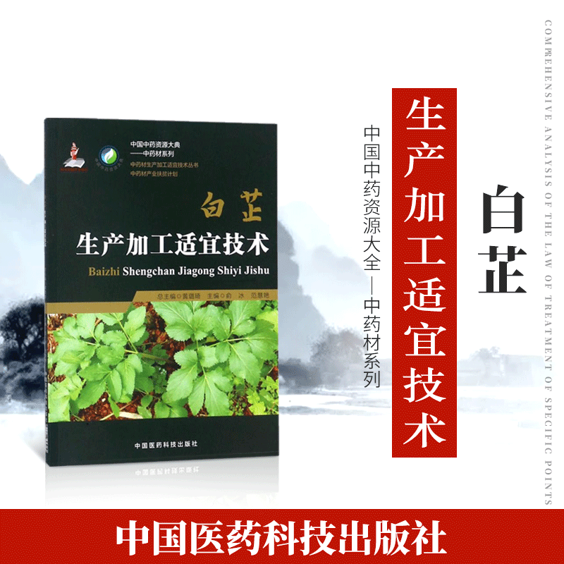 现货速发 中药材生产加工适宜技术丛书白芷栽培采收种植物种子繁育繁殖育苗播种技术精细化种植加工采集加工 工采集加工