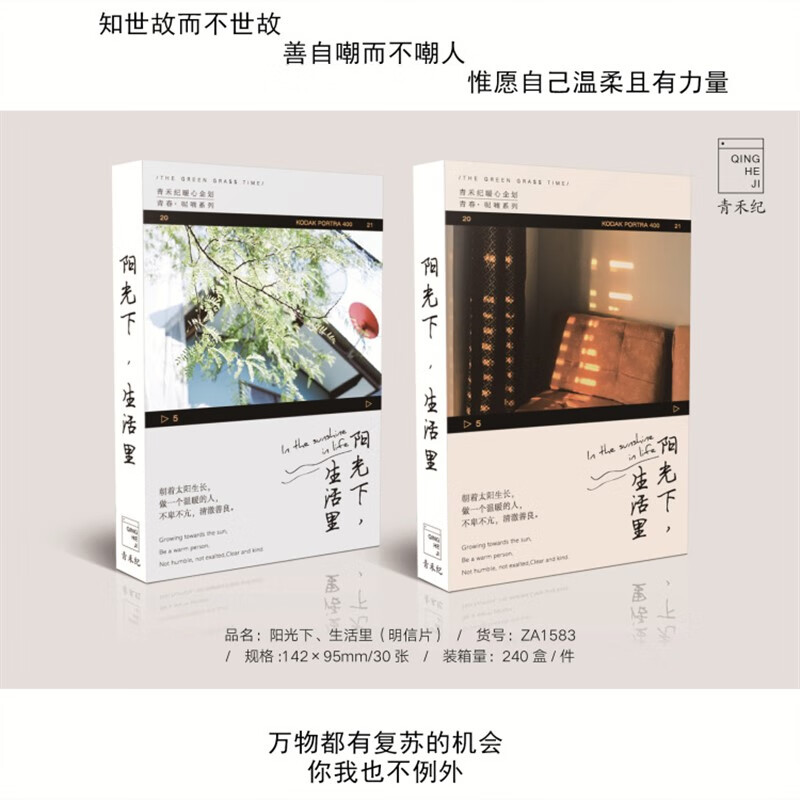 致未知的你名人名言贺卡 学生青春励志明信片小清新文艺卡片 30张 阳光下生活里明信片