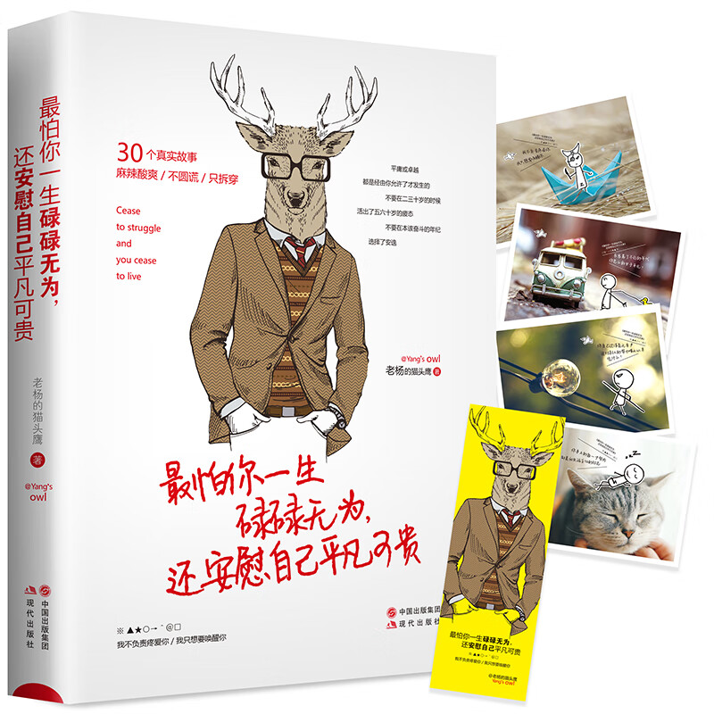 怕你一生碌碌无为还安慰自己平凡可贵 老杨的猫头鹰作品 醒脑之书好看的皮囊千篇一律姊妹篇成功励志文学小说