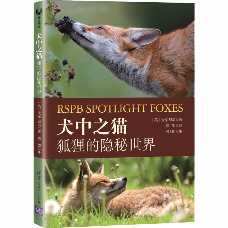 犬中之猫 狐狸的隐秘世界