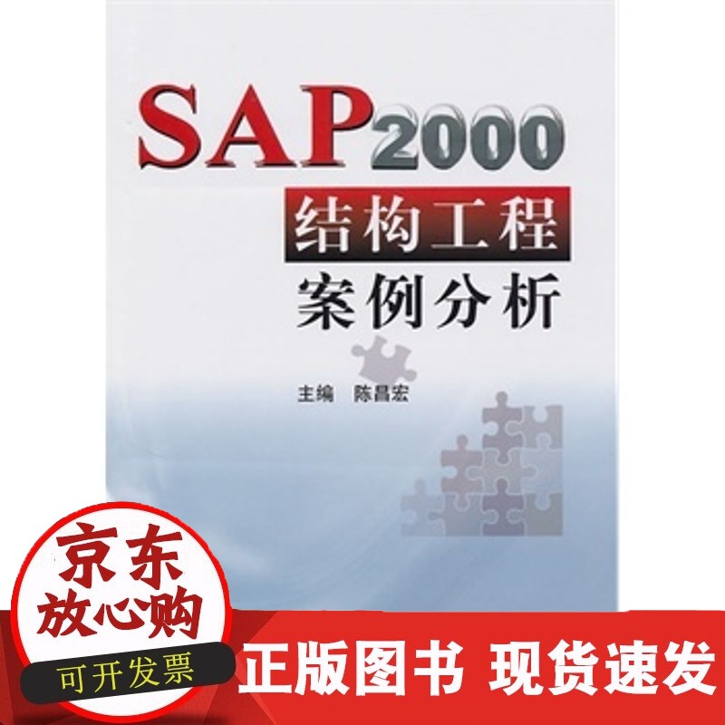 SAP2000结构工程案例分析