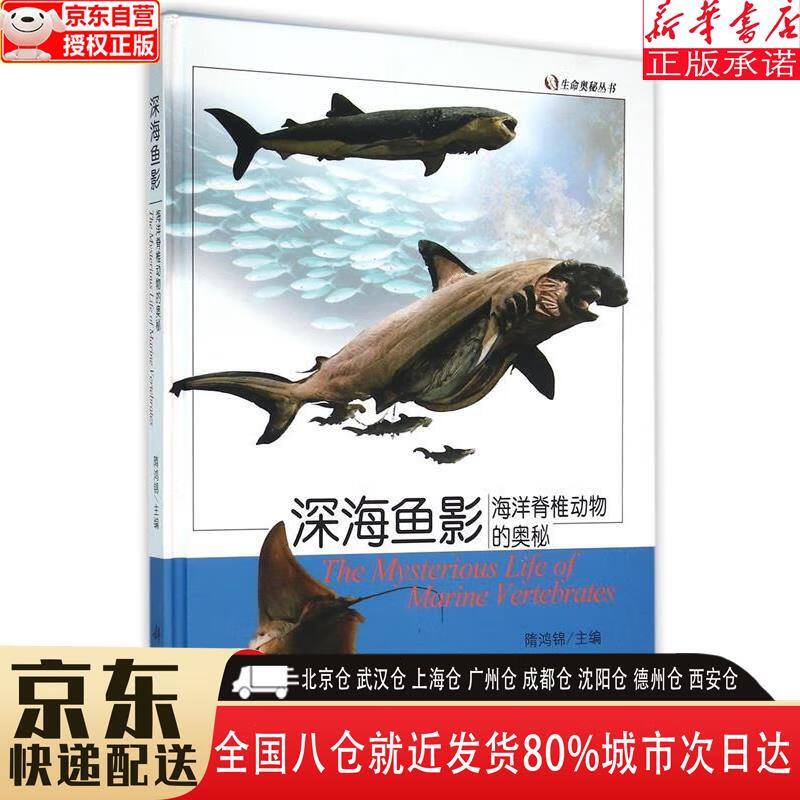 【全新】深海鱼影海洋脊椎动物的奥秘