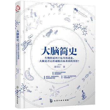 大脑简史 谢伯让