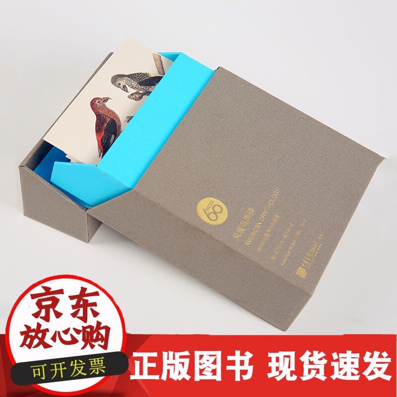 风暖鸟声碎 惜分飞北美洲百鸟图谱明信片