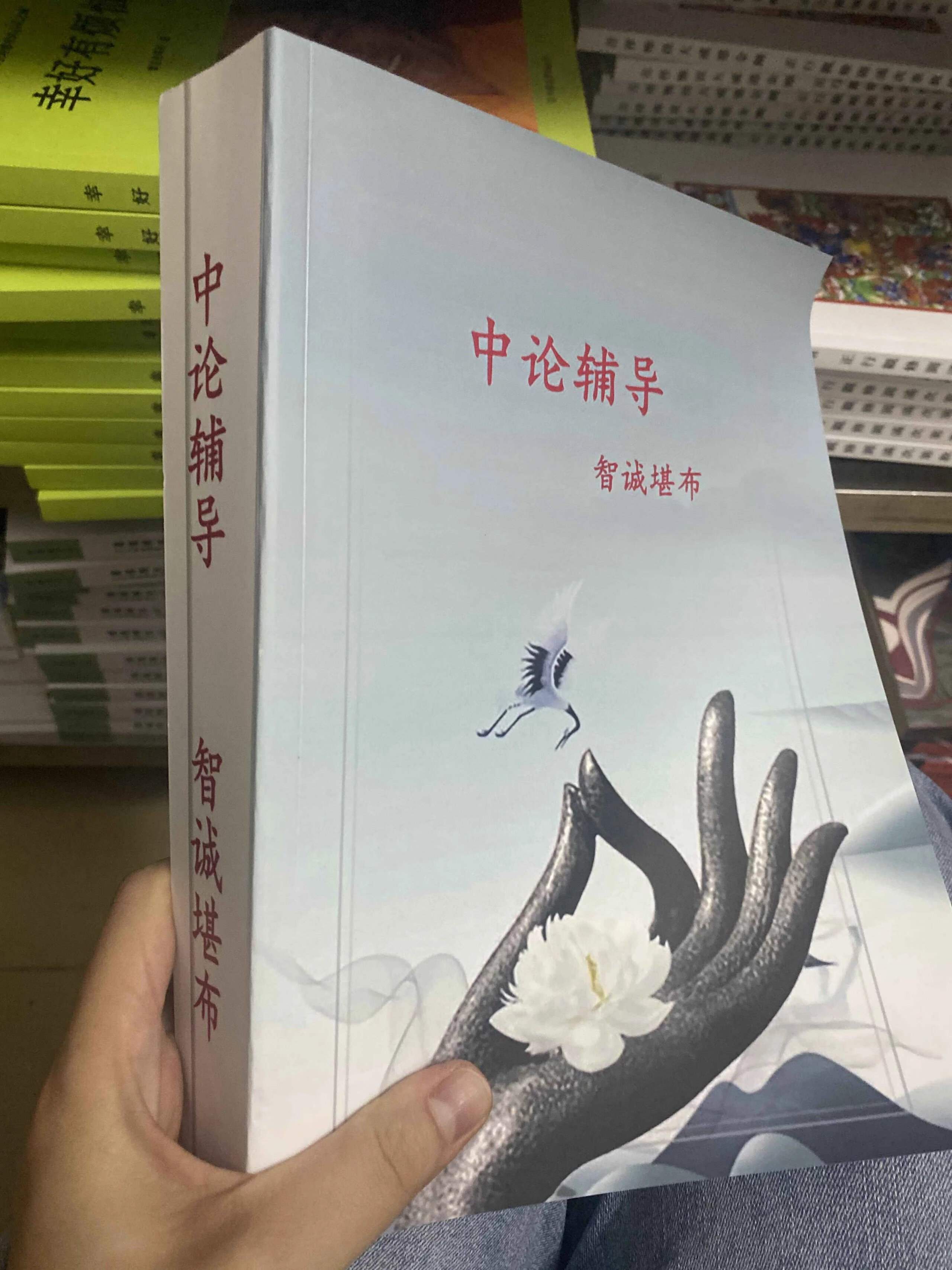 中论辅导1-75课