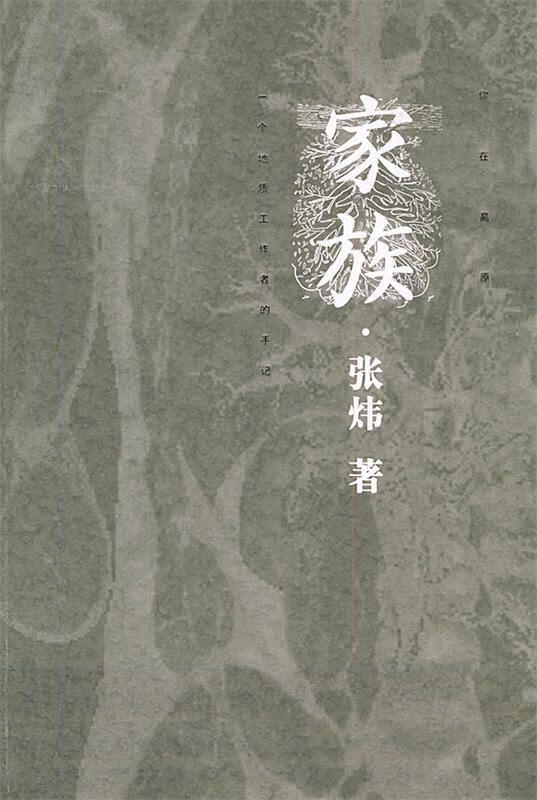 家族 张炜 著 文化艺术出版社