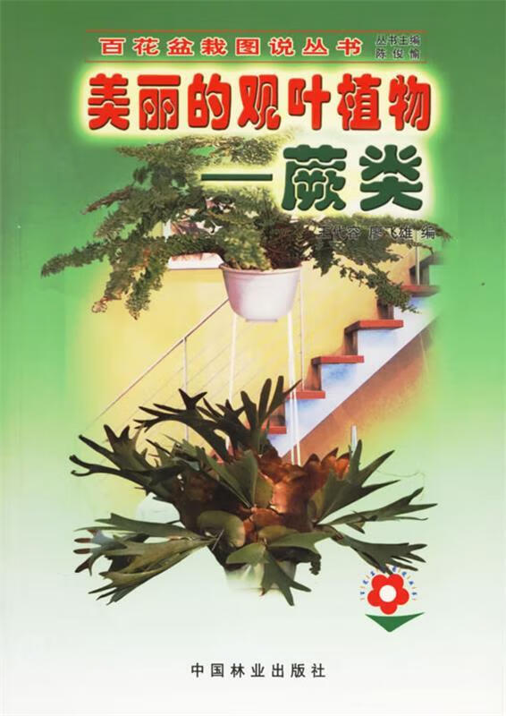 美丽的观叶植物【好书，下单速发】