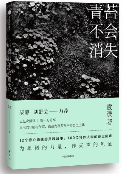 青苔不会消失