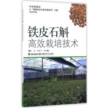 铁皮石斛高效栽培技术