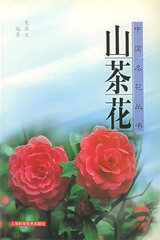 山茶花【好书，下单速发】