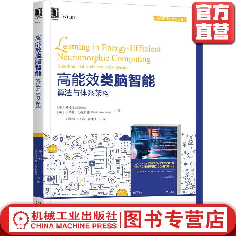 高能效类脑智能：算法与体系架构