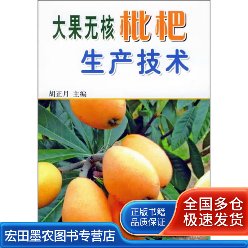 大果无核枇杷生产技术【好书】