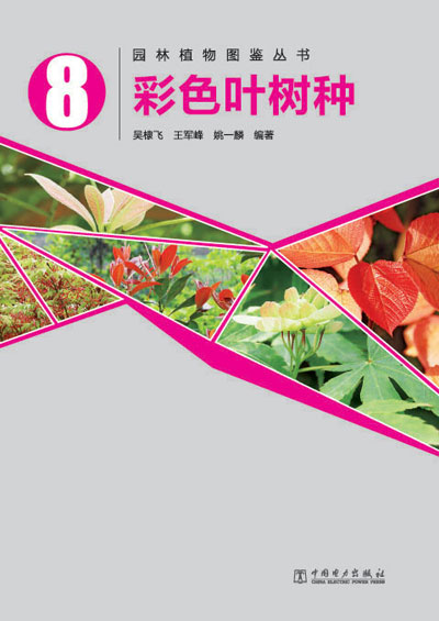 彩色叶树种 9787512365902 中国电力出版社 吴棣飞,王军峰,姚一麟著