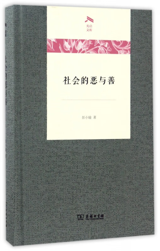 社会的恶与善(精)/光启文库