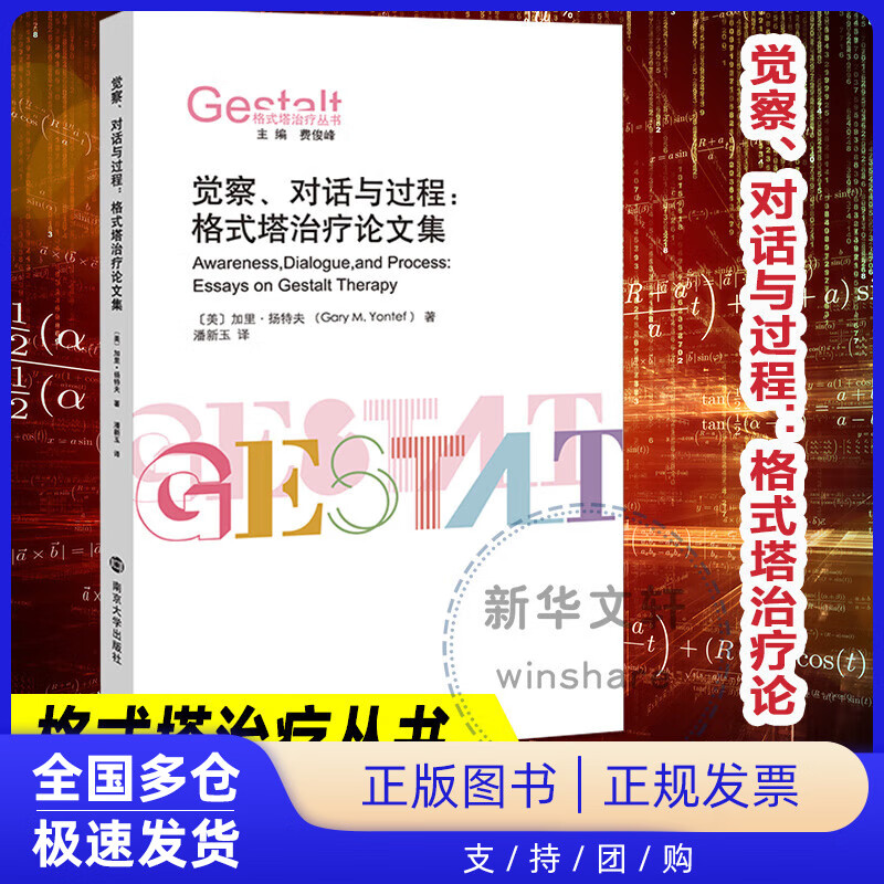 觉察、对话与过程:格式塔治疗论文集(美)加里·扬特夫