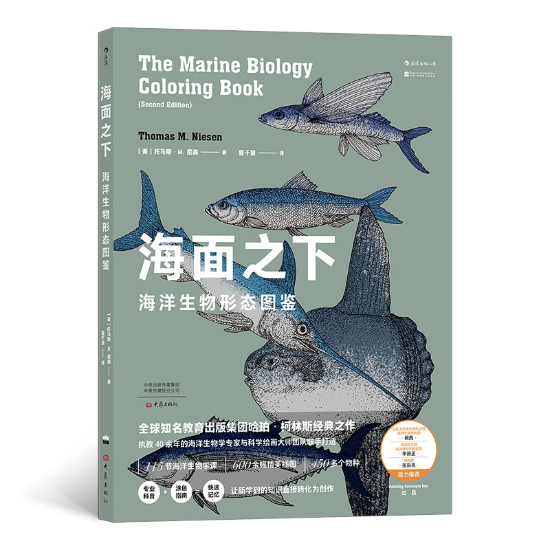 海面之下 海洋生物形态图鉴 经典之作海洋生物学专家与科学绘画大师联手打造 科普书籍