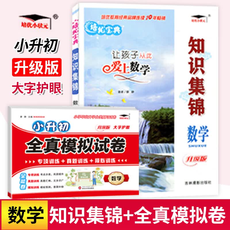 2023新知识集锦语文升级版大字护眼全国版小学生1-6年级统编语文知识大全文学常识字词成语归纳六年级小升初 数学2本【知识集锦+全真测试卷】 小学通用