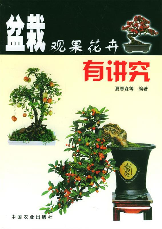 盆栽观果花卉有讲究