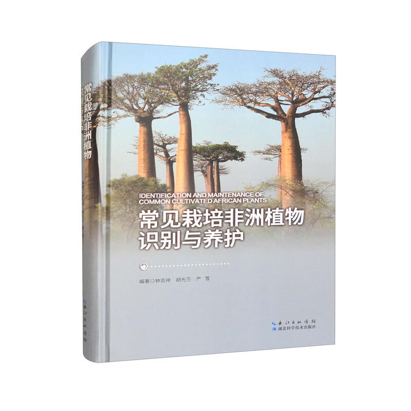 常见栽培非洲植物识别与养护
