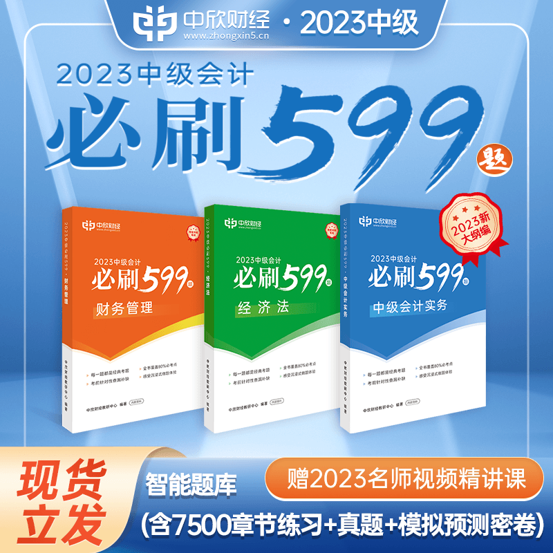 中欣 【现货立发】2023中级会计职称考试冲刺试题20天过中级核心必刷599题教辅资料经济法财务管理中级会计实务 核心必刷599题 全科