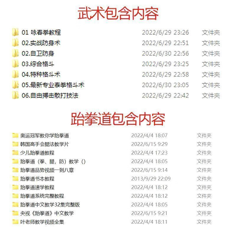 64G全套武术格斗教学实战咏春泰拳擒拿散打跆拳道防身术视频U优盘 64G U盘(武术格斗+跆拳道)