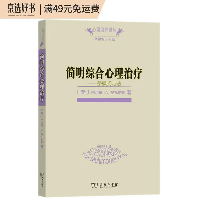 简明综合心理治疗——多模式方法（心理治疗译丛）