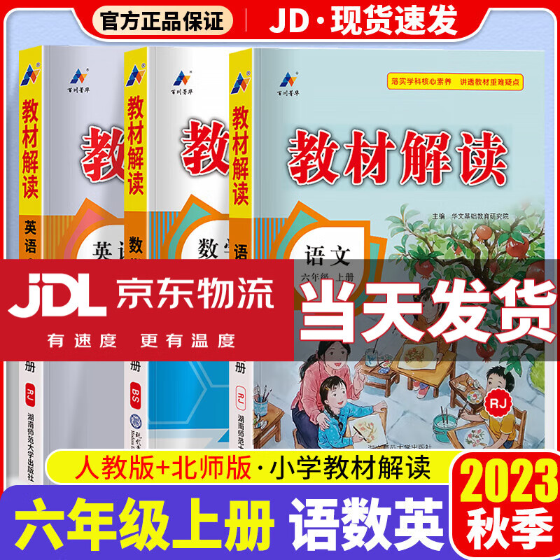 【科目版本可选】2023新版教材解读六年级上小学六年级上册教材全解课本知识点同步解读复习辅导资书 共3本 语文+数学+英语 北师版