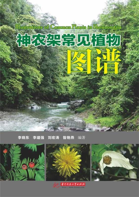 神农架常见植物图谱
