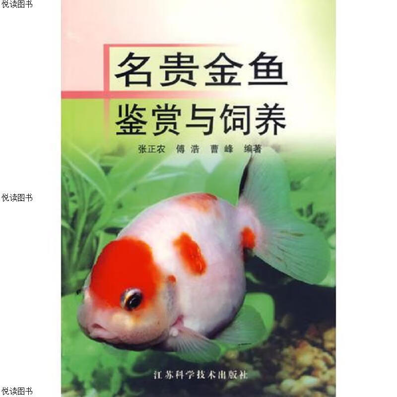 名贵金鱼鉴赏与饲养