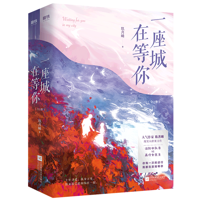 一座城在等你(上下)