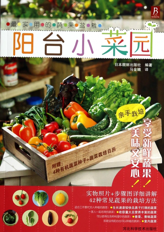 最实用的蔬果盆栽(阳台小菜园)