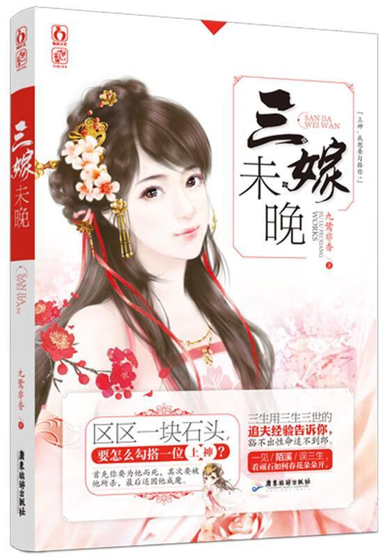 三嫁未晚 九鹭非香【书】