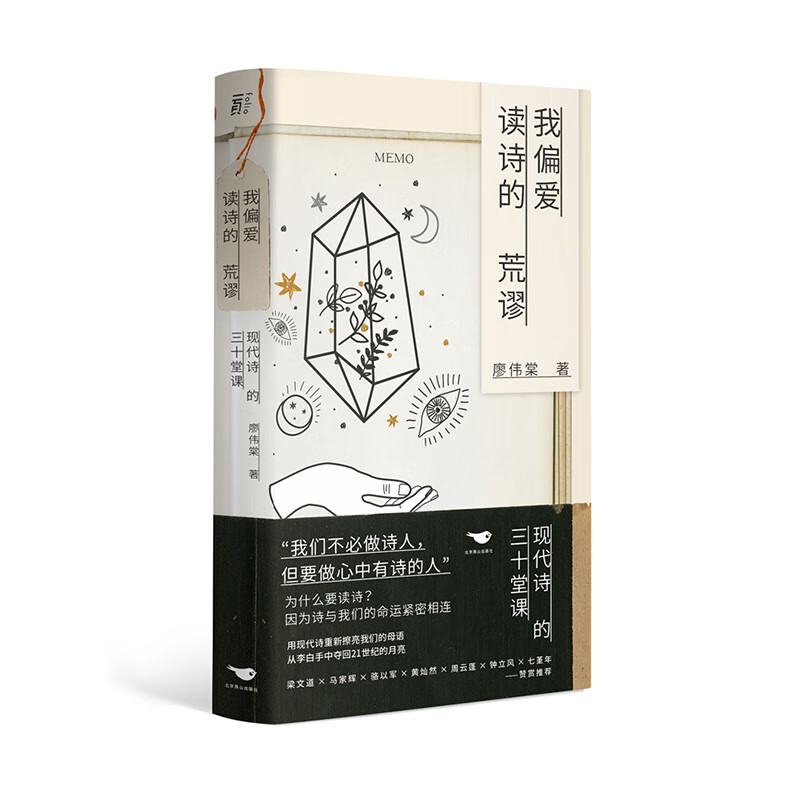 我偏爱读诗的荒谬：现代诗的三十堂课