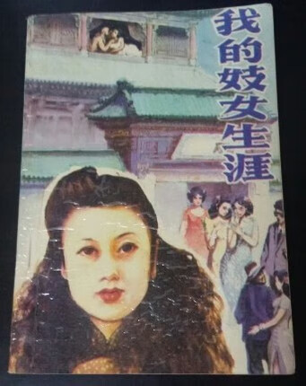 二手 老版书 我的妓女生涯 康素珍记述