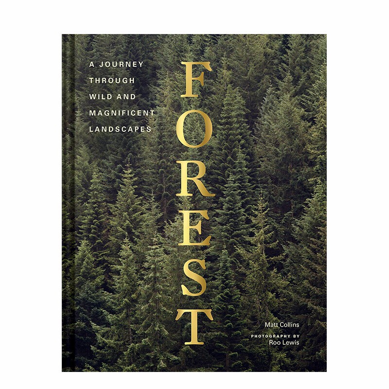 Forest 森林 树木自然摄影集 户外风光照相拍摄 英文原版