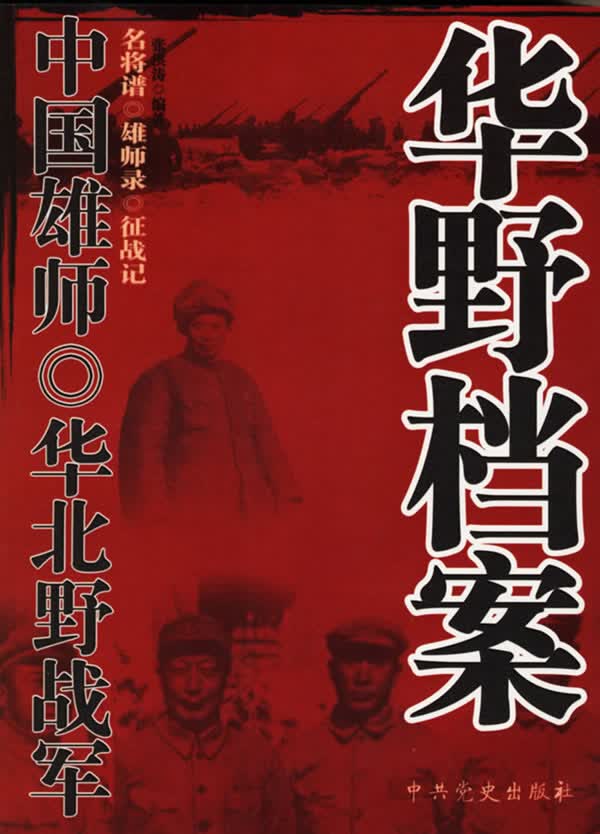中国雄狮 三野档案 张洪涛 编著