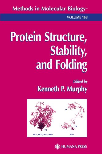 Protein Structure, Stability, and Folding