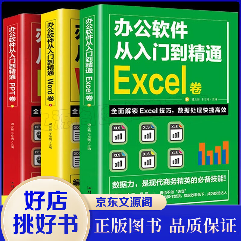 从入门到精通：Word Excel PPT（套装全3册） 办公应用零基础到精通表格制作